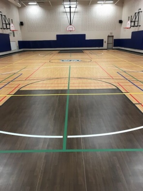 Elite Sports Elite Sports